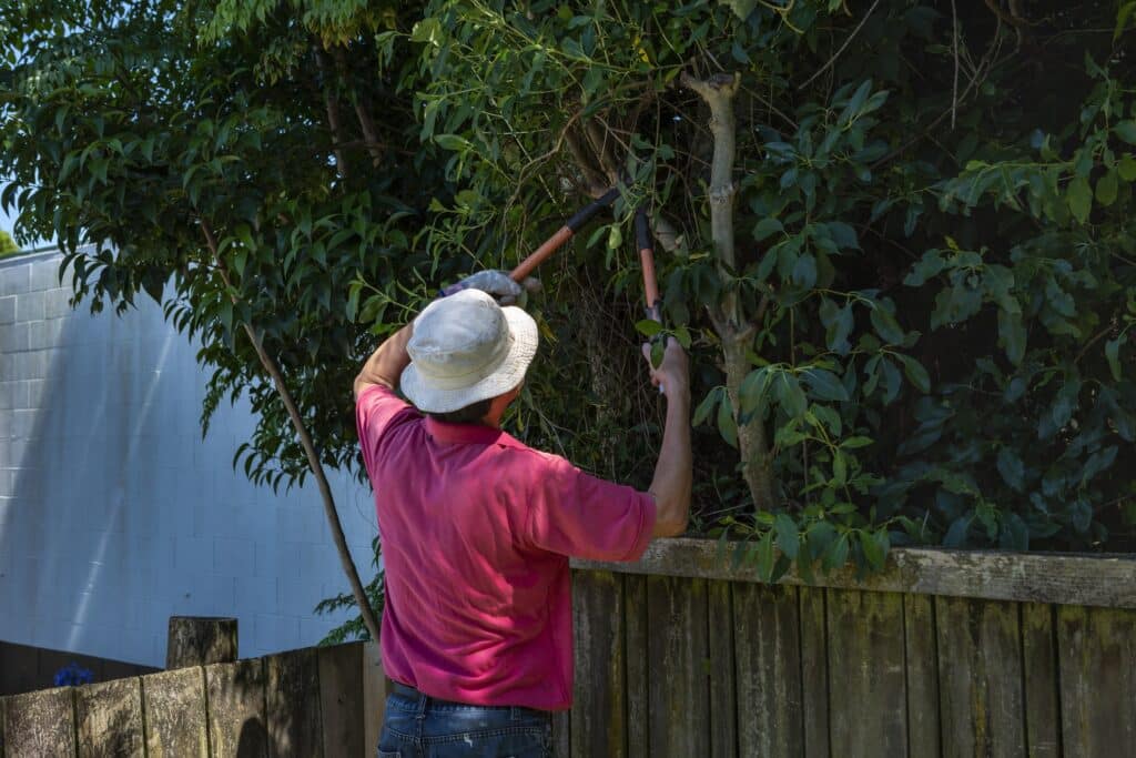 The Complete Guide To Green Waste Removal